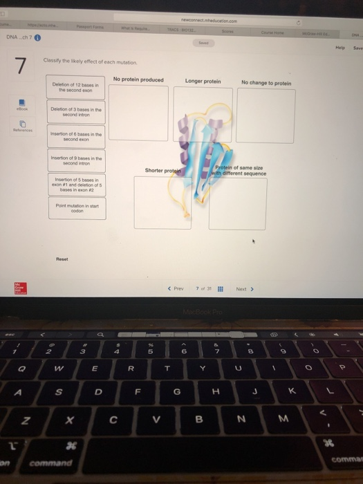 Solved DNA ch7 Help Save Classify the likely effect of each | Chegg.com