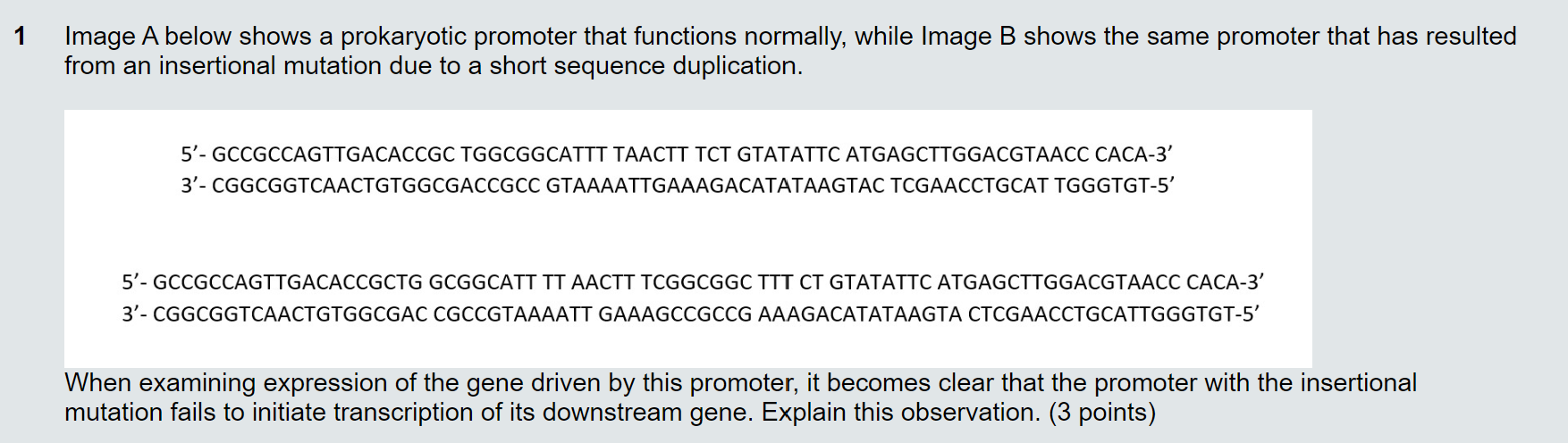 Solved Image A below shows a prokaryotic promoter that | Chegg.com