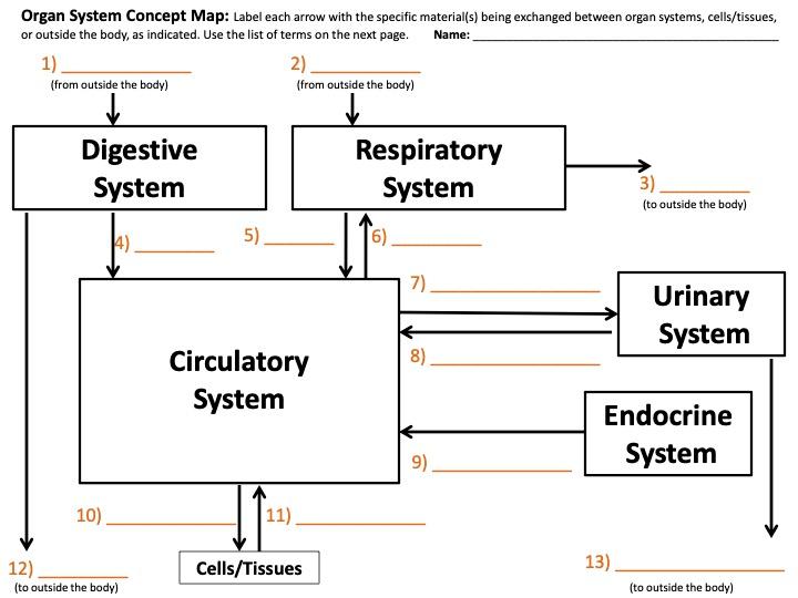 Solved Organ System Concept Map: Label each arrow with the | Chegg.com