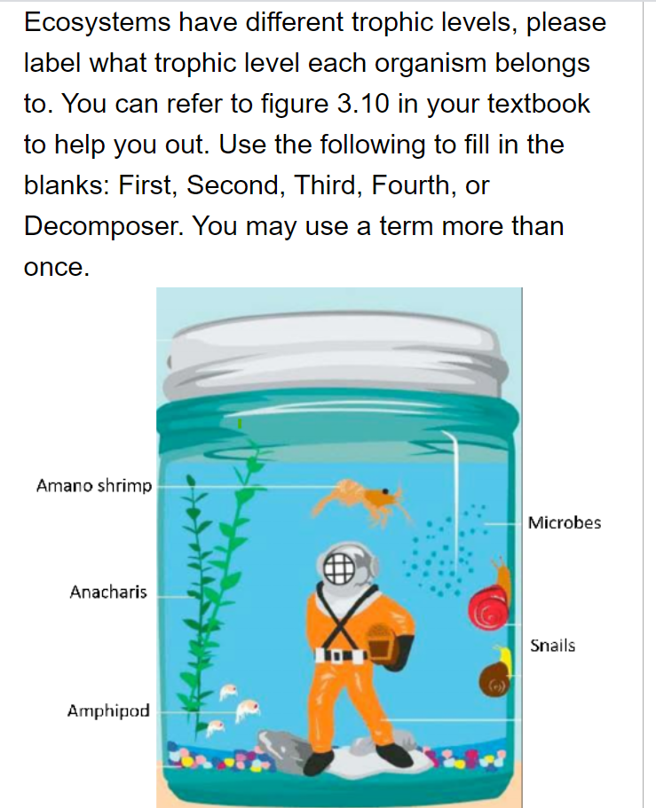 Solved Ecosystems have different trophic levels, please | Chegg.com