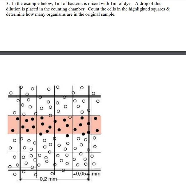 Solved 3. In the example below, 1ml of bacteria is mixed | Chegg.com
