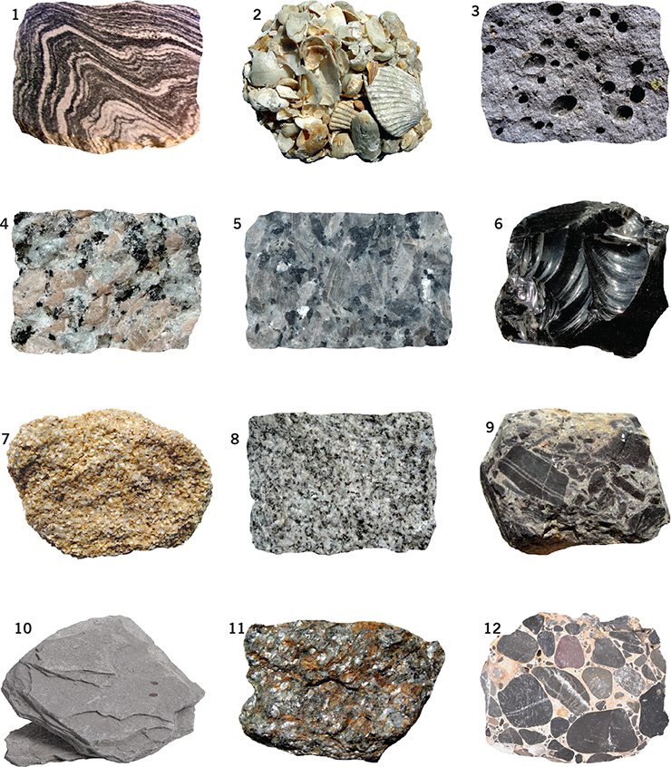Solved Activity 4.5 What Are Rock Texture and Fabric? A. | Chegg.com