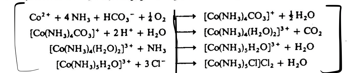 Solved Co2+ + 4 NH, + HCO- + 40, (CONH,).CO,)* + 2 H+ + H2O | Chegg.com
