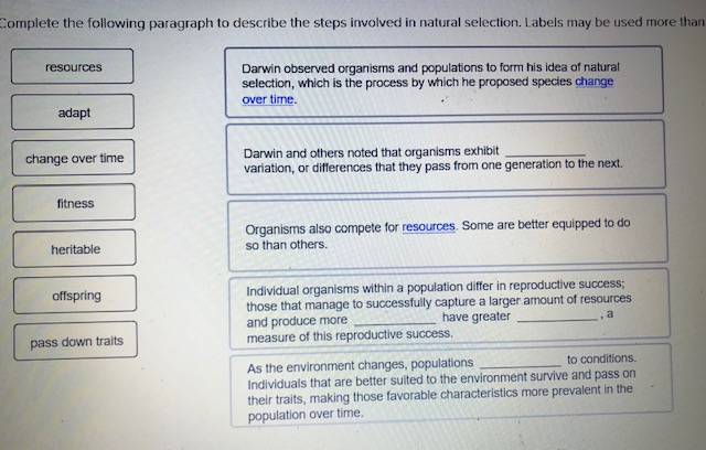 Solved Complete the following paragraph to describe the | Chegg.com