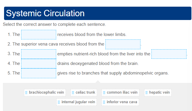 Solved Systemic CirculationSelect the correct answer to | Chegg.com
