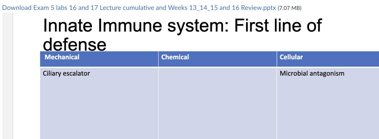 Solved Innate Immune system: First line ofdefense | Chegg.com