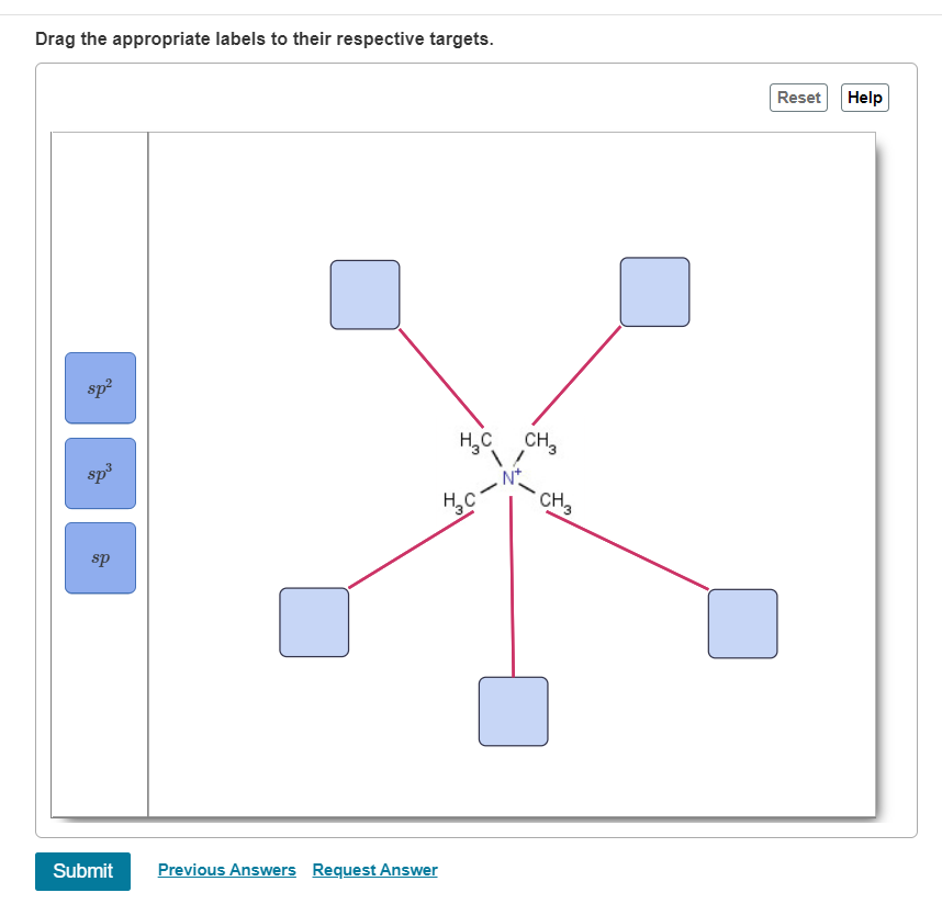 Solved Drag the appropriate labels to their respective | Chegg.com