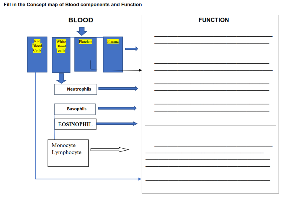 Solved Fill in the Concept map of Blood components and | Chegg.com