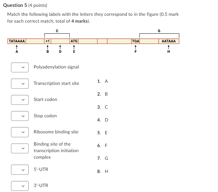 Match the following labels with the letters they | Chegg.com