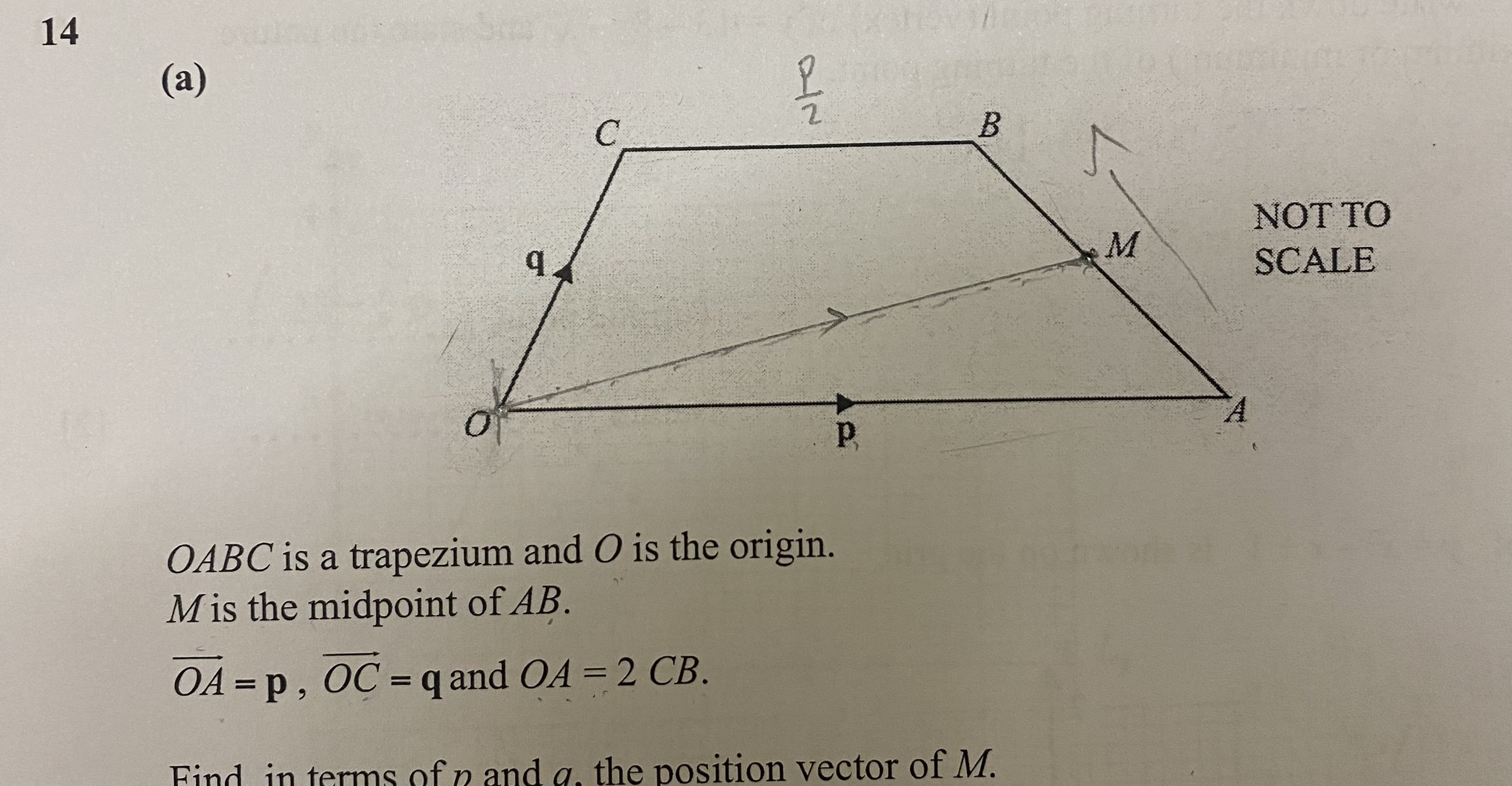 Solved (a) OABC is a trapezium and O is the origin. M is the | Chegg.com