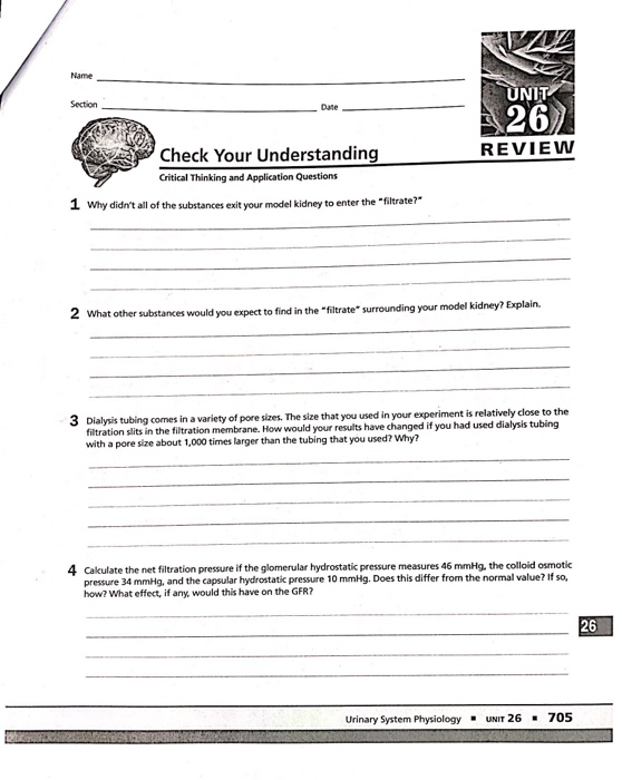 Solved Name UNIT Section Date 26 REVIEW Check Your | Chegg.com