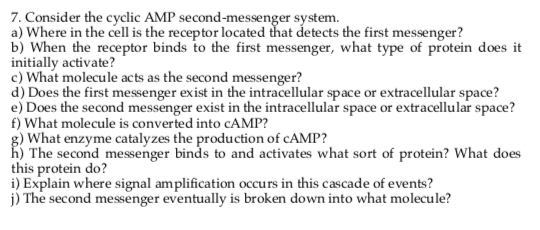 Solved 7. Consider the cyclic AMP second-messenger system a) | Chegg.com