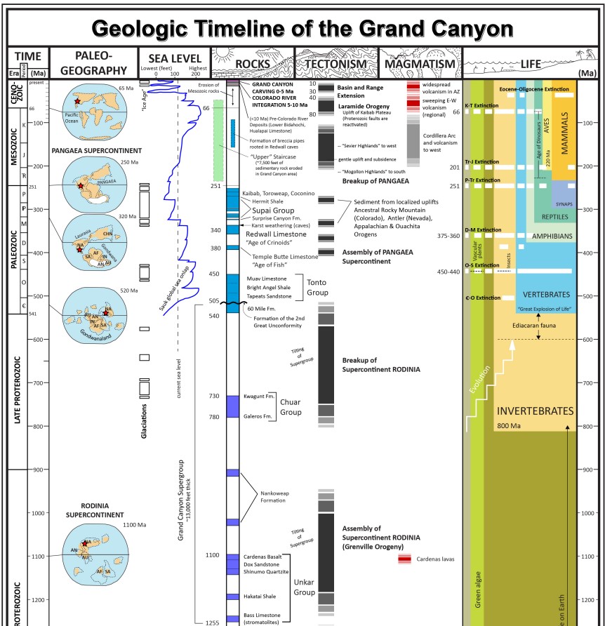 Solved Geologic Timeline of the Grand CanyonBased on the | Chegg.com