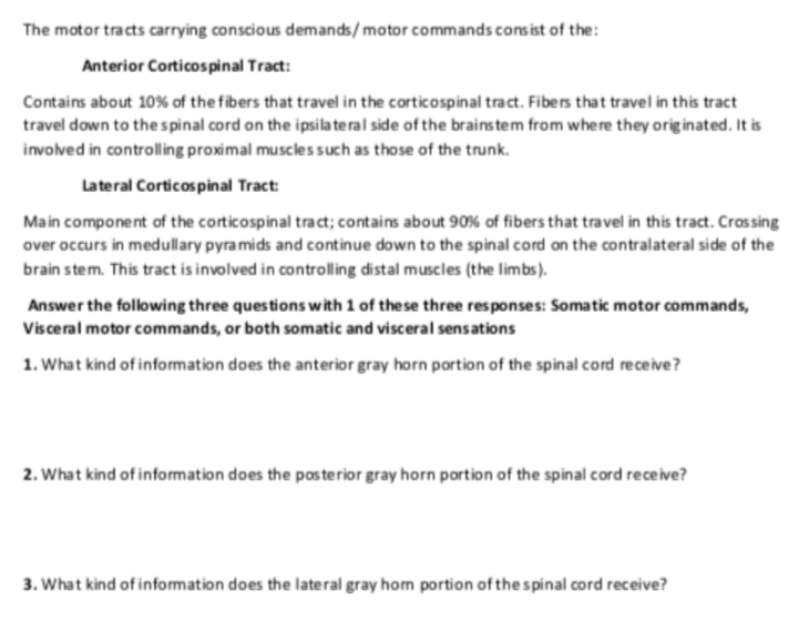 Solved The motor tracts carrying conscious demands/motor | Chegg.com