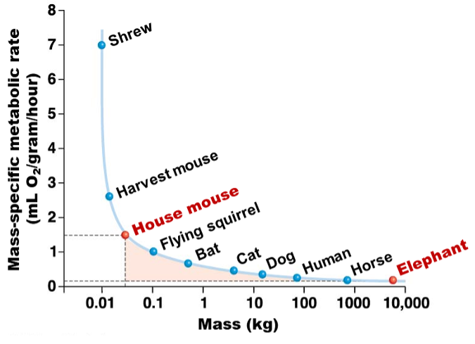 Solved Below are two graphs for comparing body size to | Chegg.com