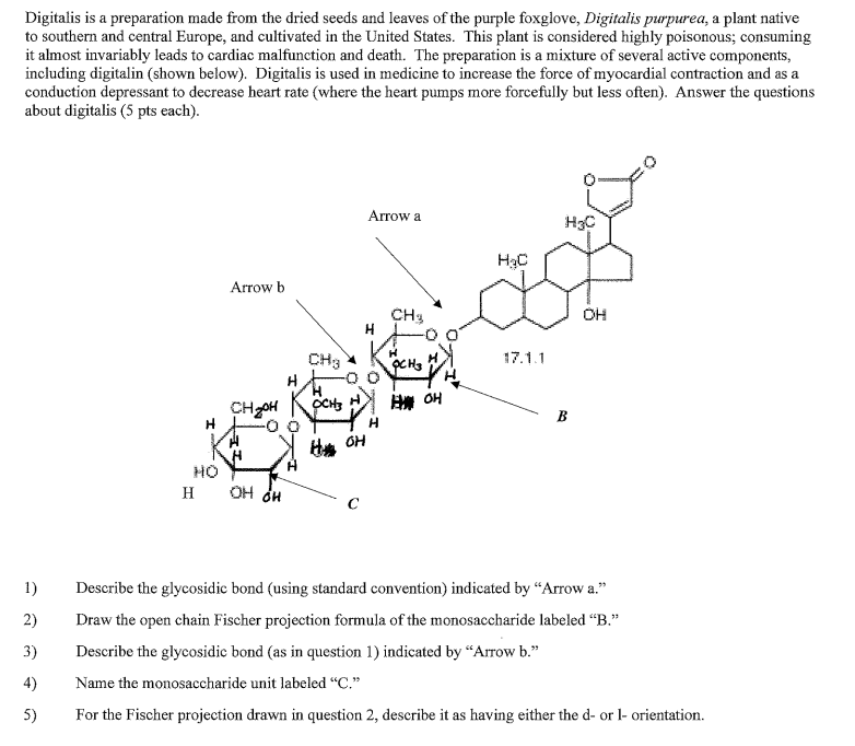 Solved Digitalis is a preparation made from the dried seeds | Chegg.com