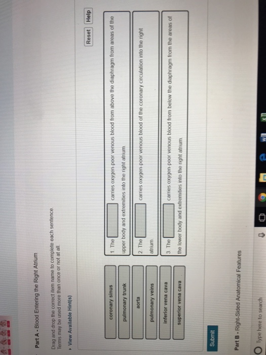 Solved Part A-Blood Entering the Right Atrium Drag and drop | Chegg.com