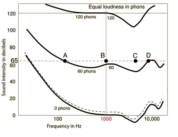 Solved 120 Equal loudness in phons 120 phons 120 100 80 A B | Chegg.com