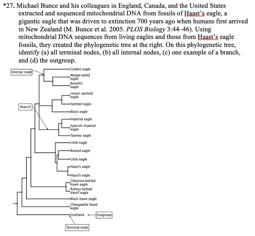 *27. Michael Bunce and his colleagues in England, | Chegg.com