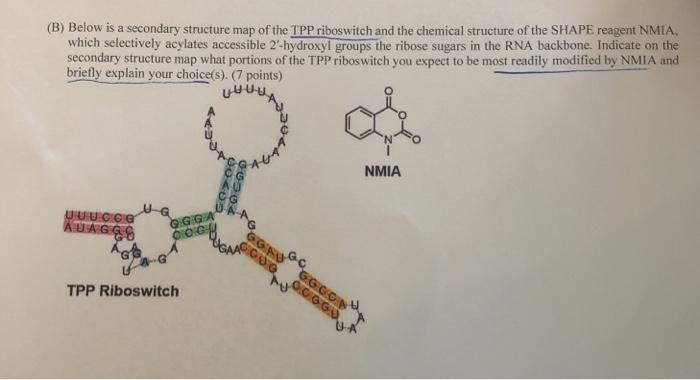 Solved (B) Below is a secondary structure map of the TPP | Chegg.com