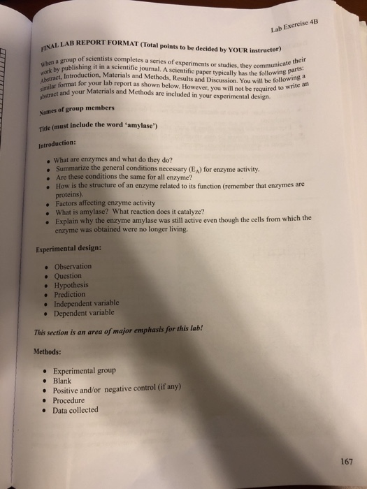 Solved EXERCISE 4B ENZYMES Functional and Structural | Chegg.com