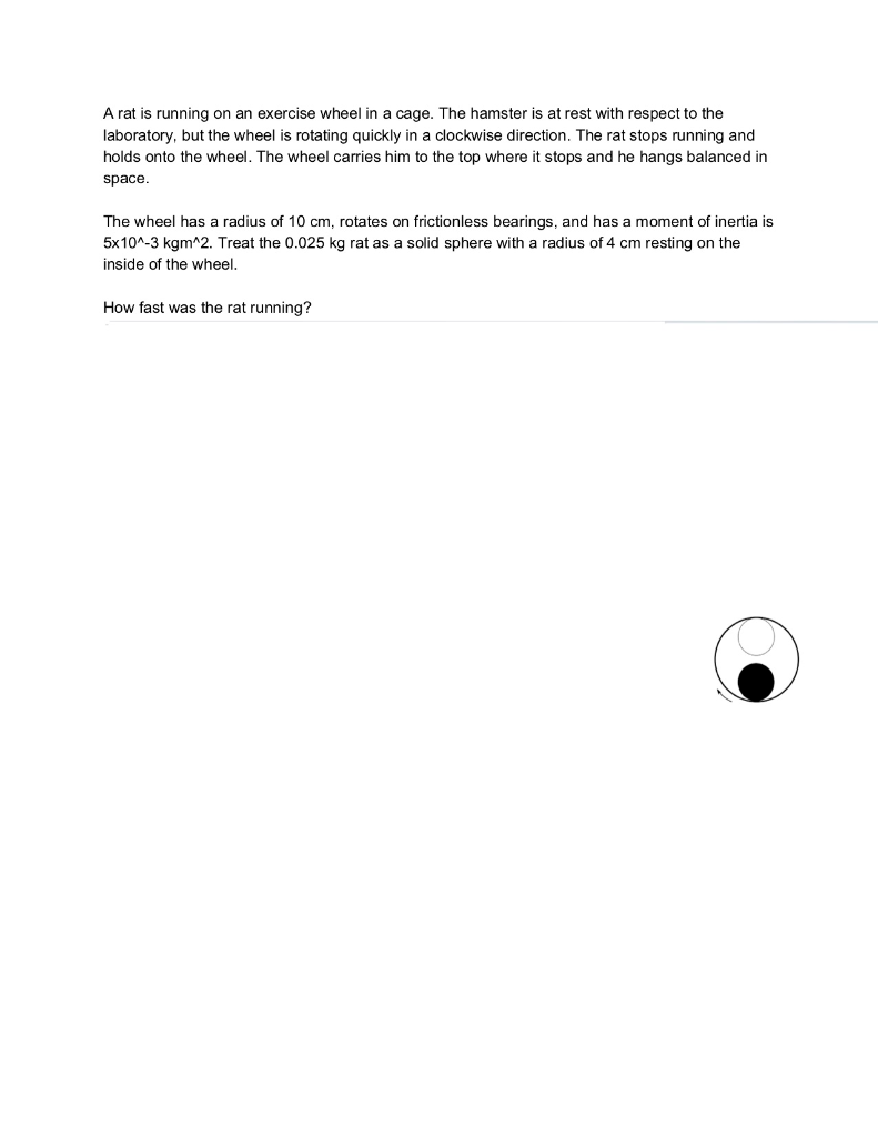 Solved A rat is running on an exercise wheel in a cage. The | Chegg.com