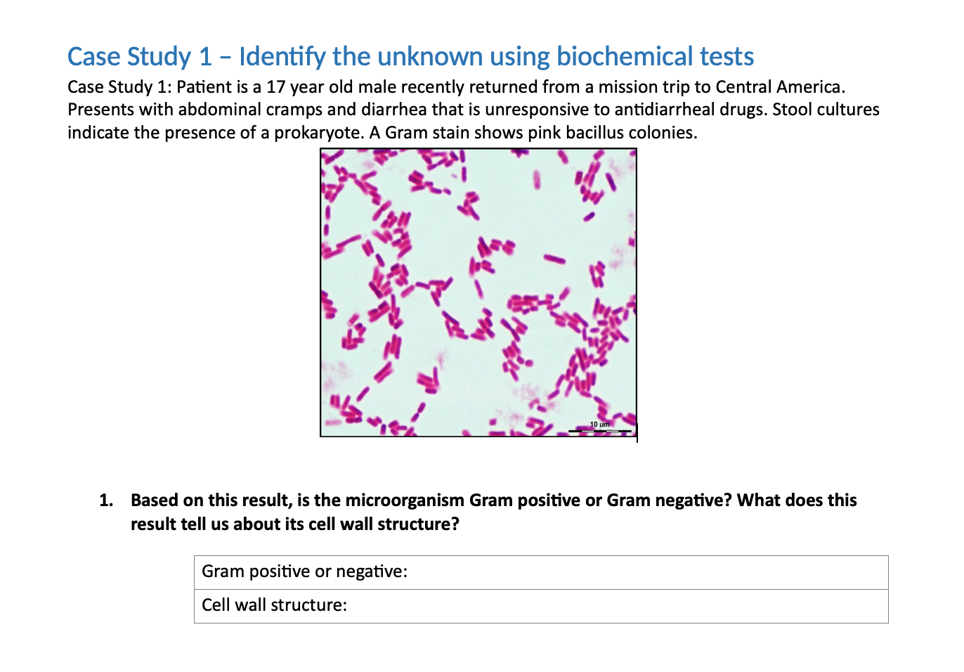 Solved Case Study 1: Patient is a 17 year old male recently | Chegg.com