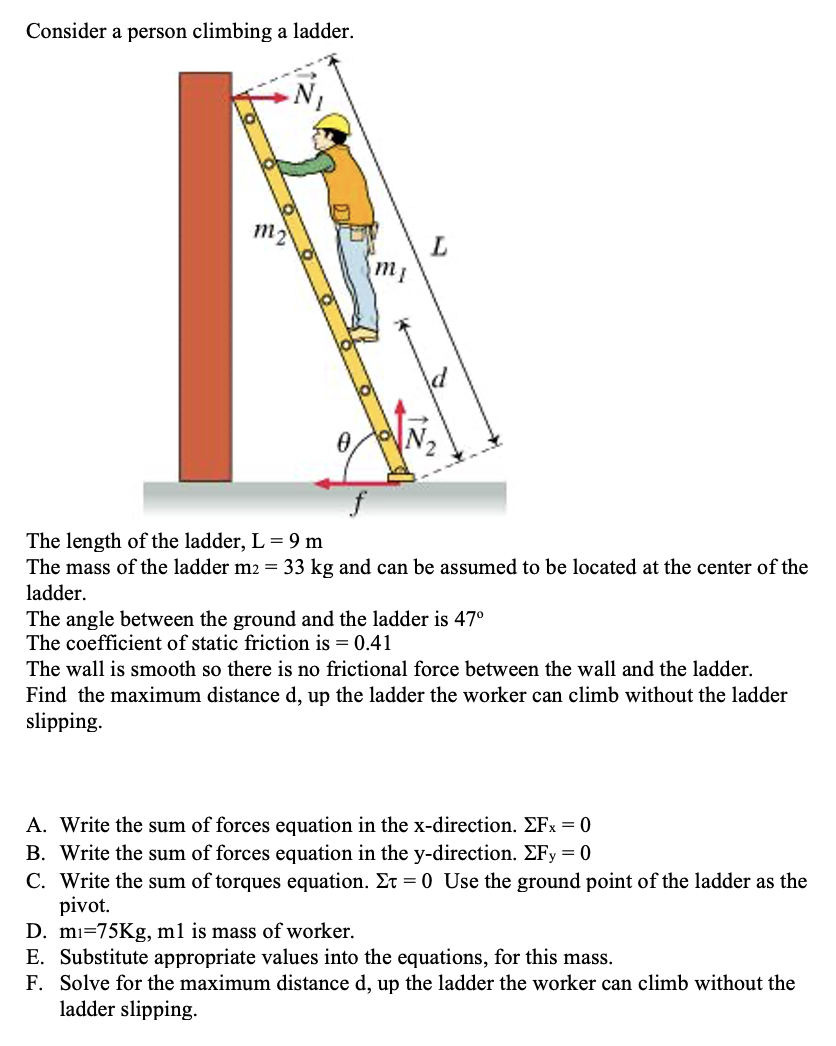 Solved Consider a person climbing a ladder. -N L mi f The | Chegg.com