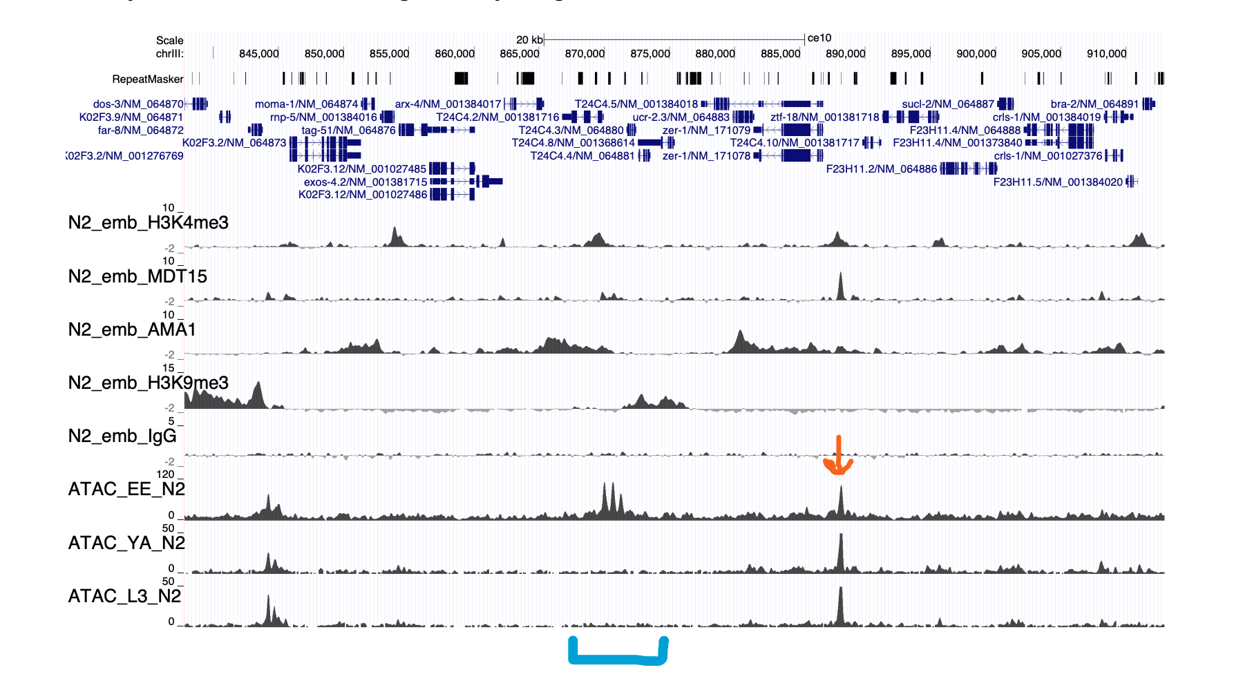 Solved Below is a genome browser view of several ChIP-seq | Chegg.com
