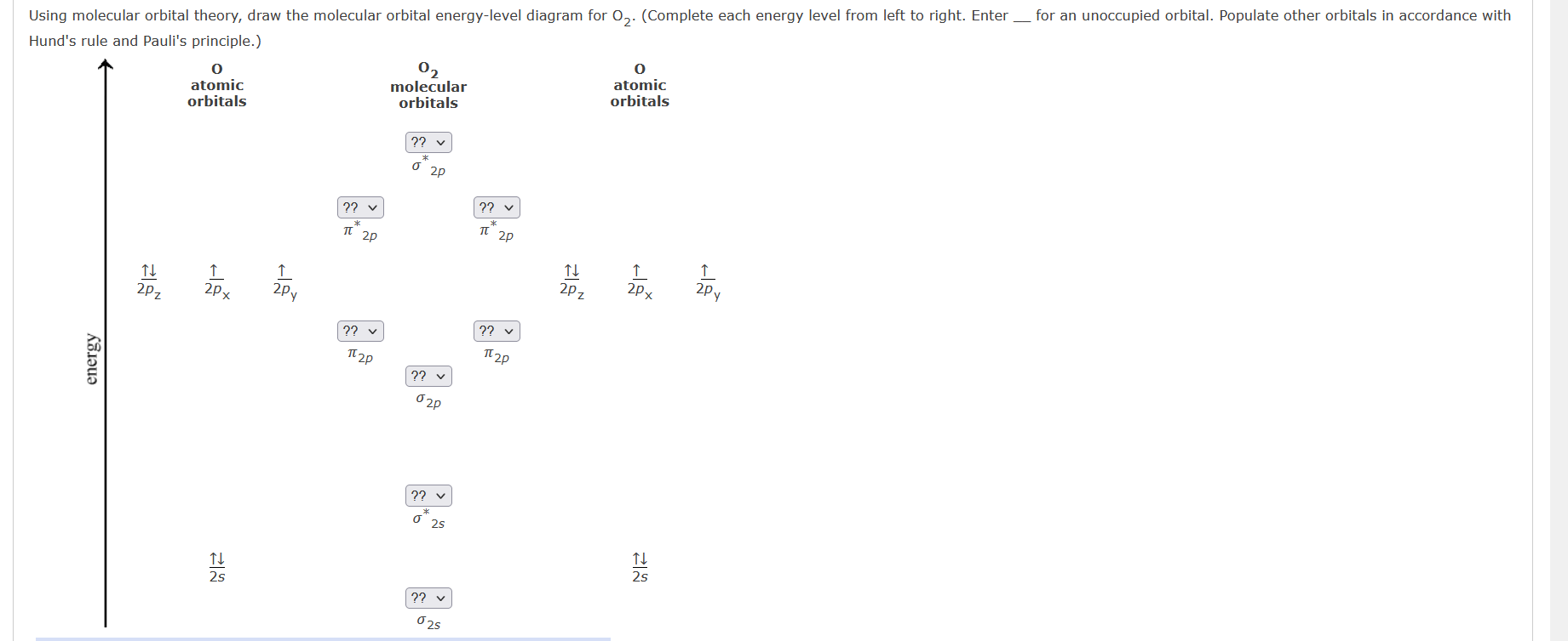 Solved Hund's rule and Pauli's principle.) | Chegg.com