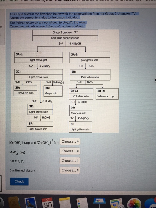 Ana Elyse filled in the flowchart below with the | Chegg.com