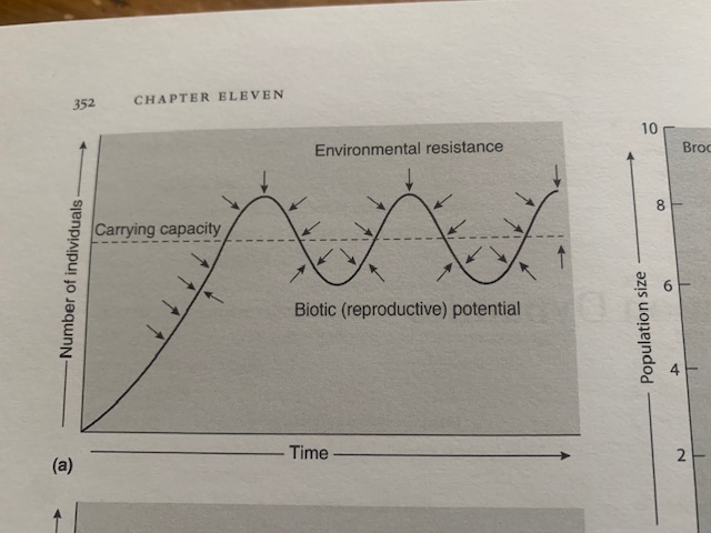 Solved Using your own terms, write captions for Figure 11.1a | Chegg.com