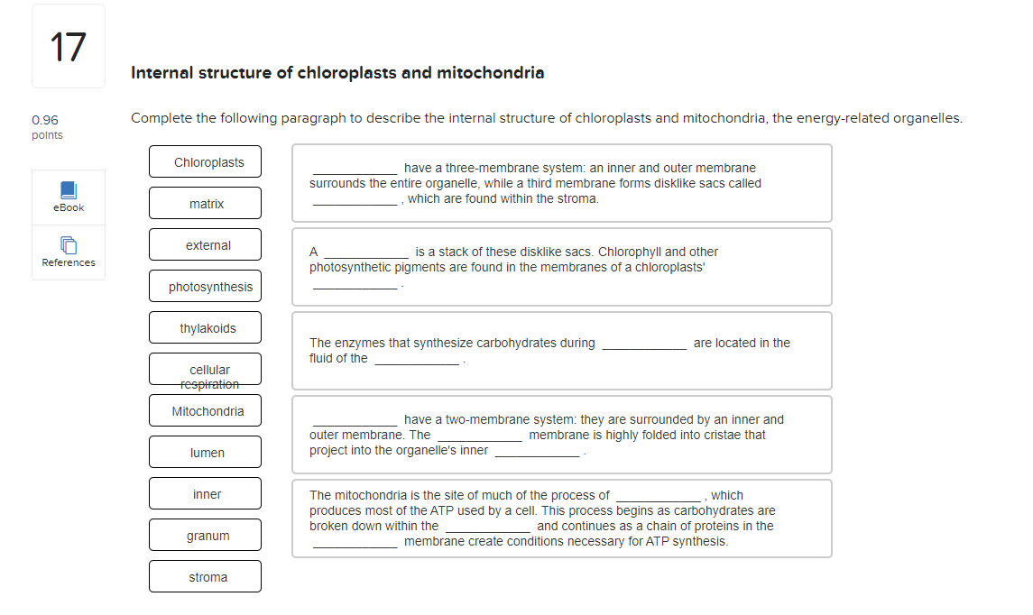 Solved 17 Internal structure of chloroplasts and | Chegg.com