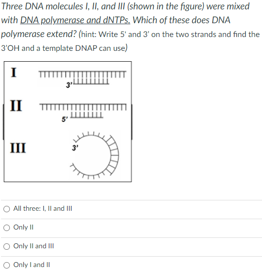 Solved Three DNA molecules I, II, and III (shown in the | Chegg.com