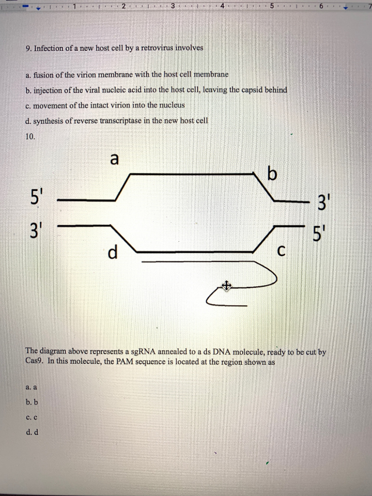 Solved E - EE EX -UA DE- 1. Which of the following amino | Chegg.com