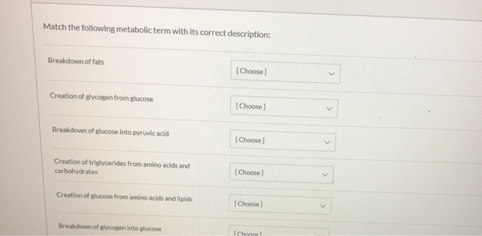Solved Match the following metabolic term with its correct | Chegg.com