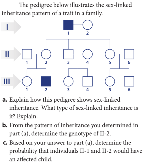 Solved The pedigree below illustrates the sex-linked | Chegg.com