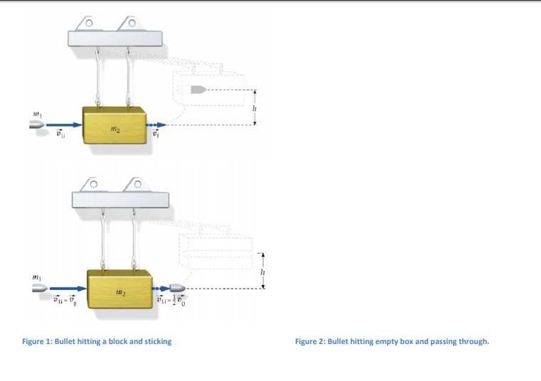 Solved In a feat of public marksmanship, you fire a bullet | Chegg.com