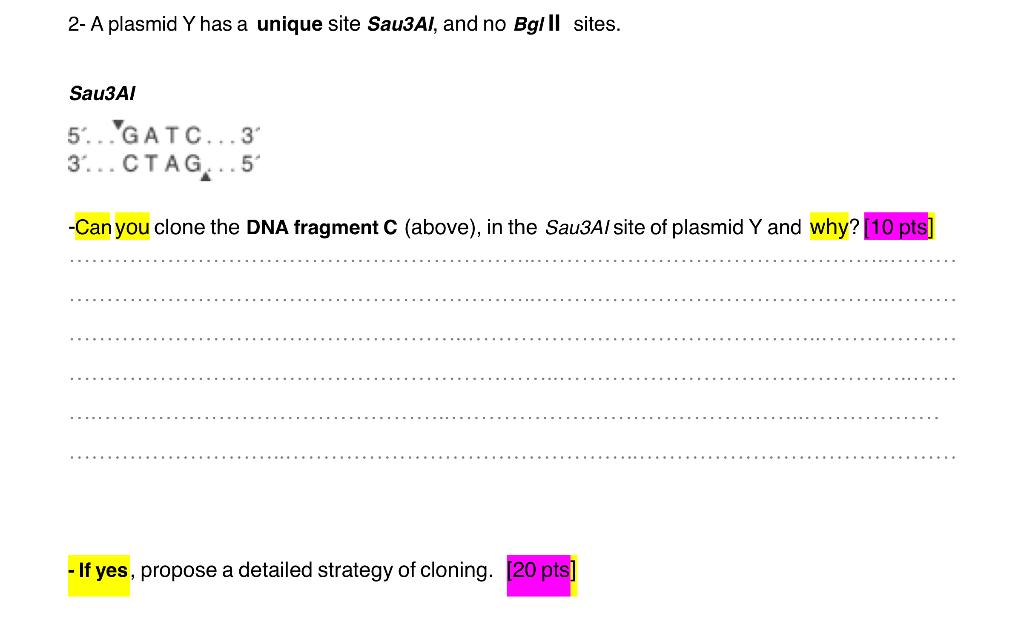Solved We cut the double stranded DNA sequence below with | Chegg.com
