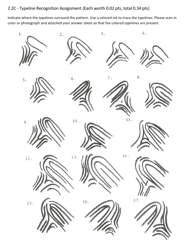 Solved 2.2C - ﻿Typeline Recognition Assignment (Each worth | Chegg.com