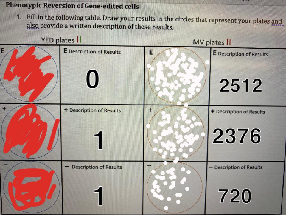 Phenotypic Reversion of Gene-edited cells 1. Fill in | Chegg.com