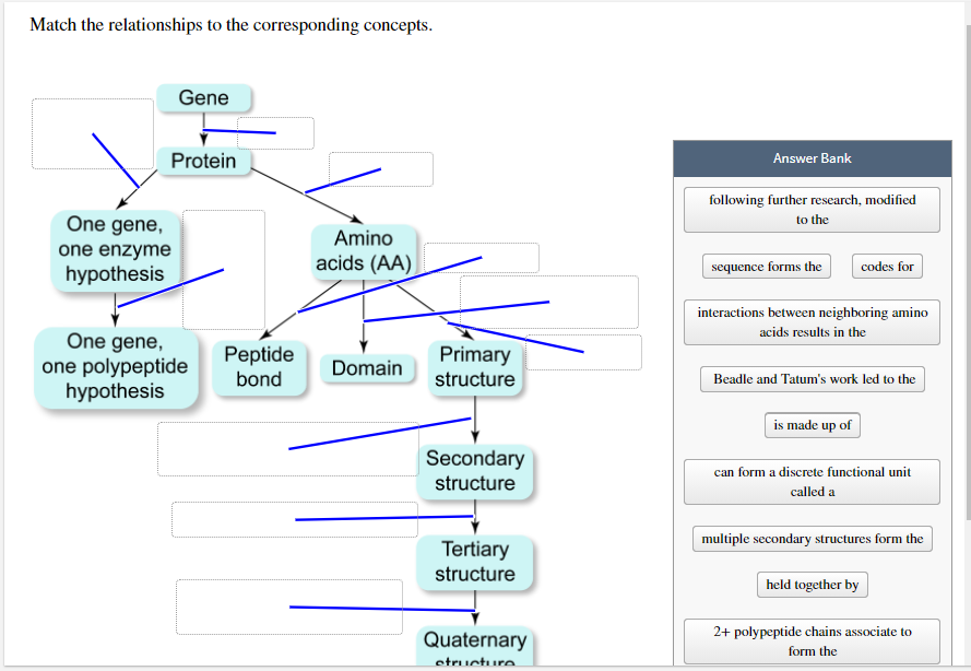 Solved Match the relationships to the corresponding | Chegg.com