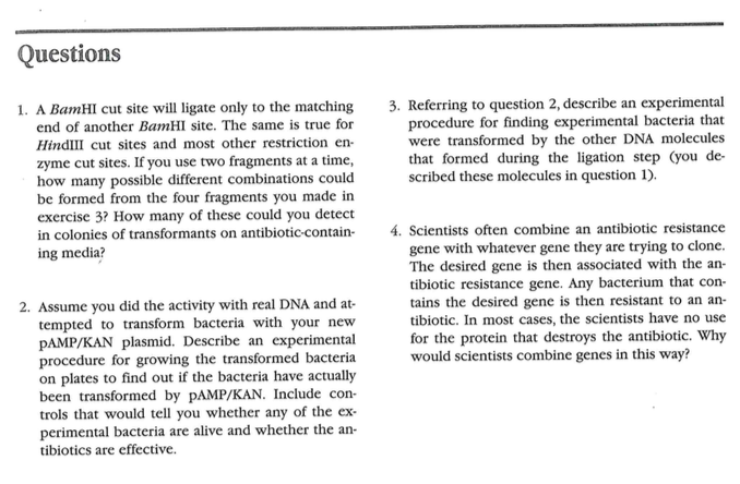 Student Activity Recombinant Paper Plasmids 14 | Chegg.com