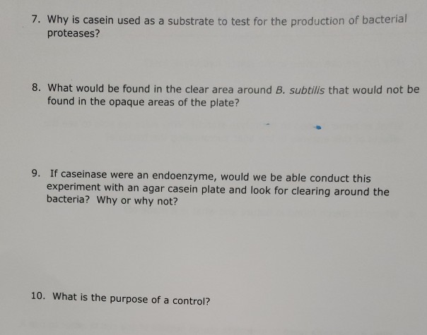 Solved 7. Why is casein used as a substrate to test for the | Chegg.com