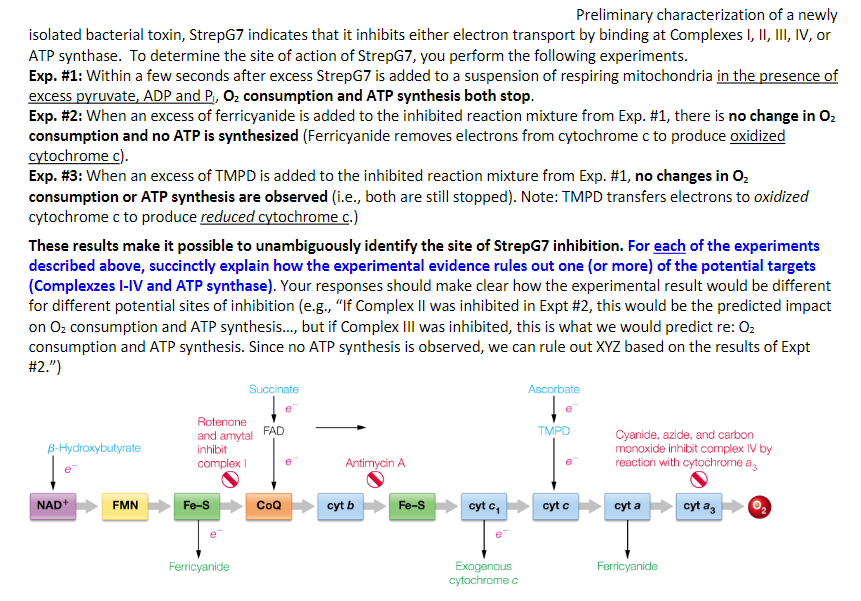 Solved Preliminary characterization of a newly isolated | Chegg.com
