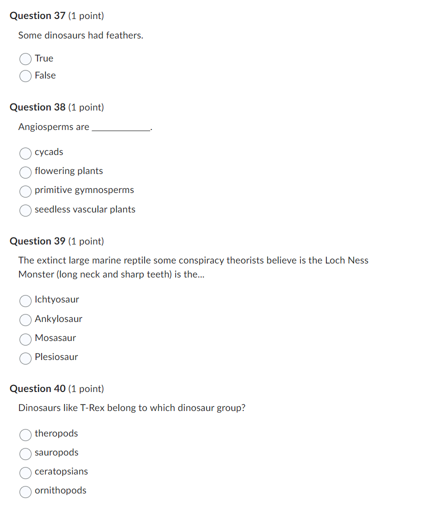Solved Some dinosaurs had feathers. True False Question 38 | Chegg.com