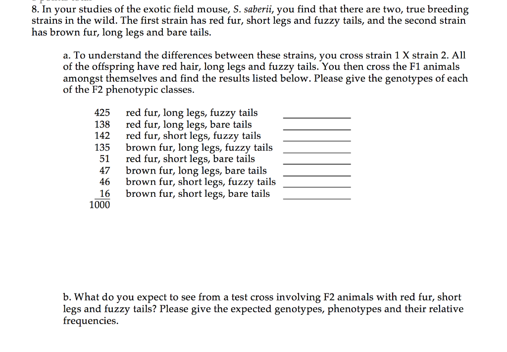 Solved 8. In your studies of the exotic field mouse, S. | Chegg.com