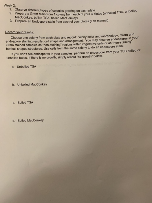 Week 2: 1. Observe different types of colonies | Chegg.com