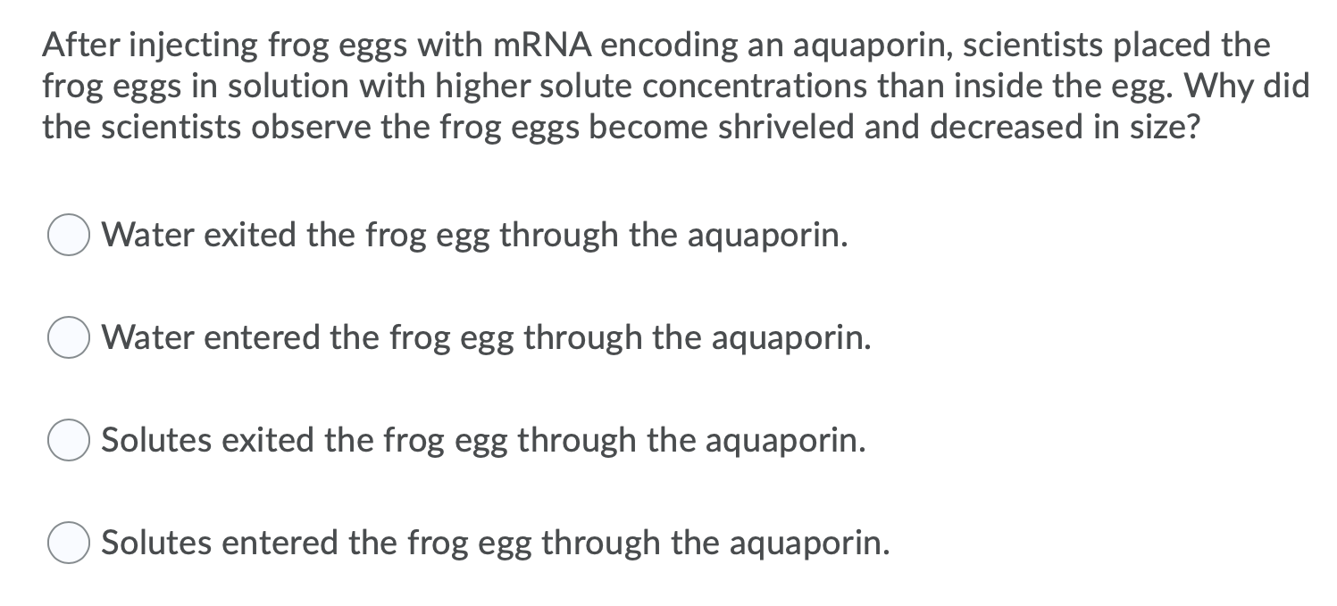 Solved After injecting frog eggs with mRNA encoding an | Chegg.com