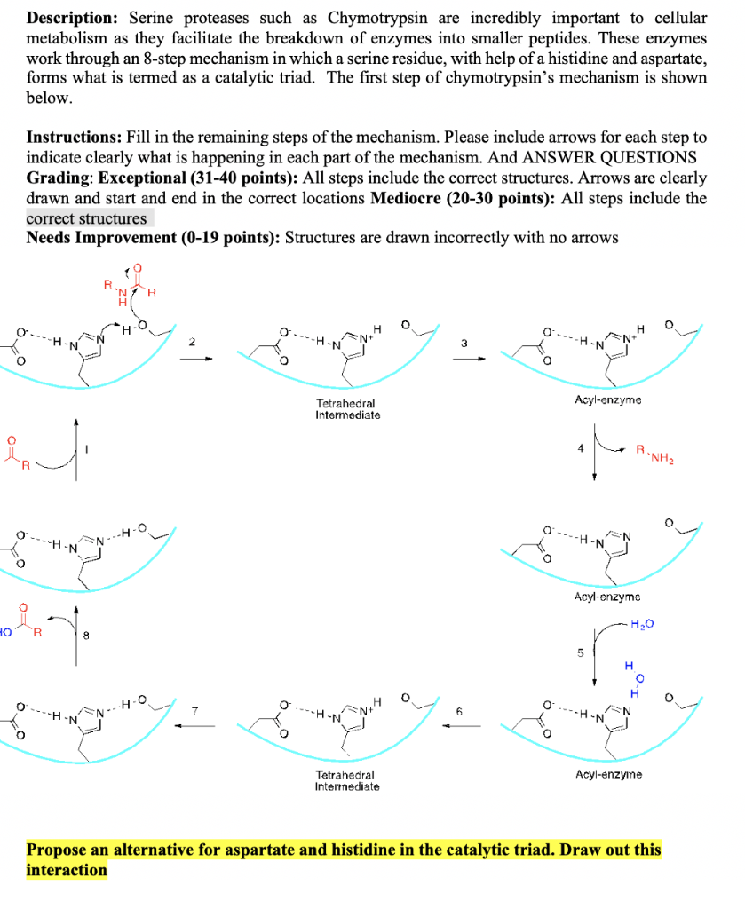 Solved Propose and alternative for aspartate and histidine | Chegg.com